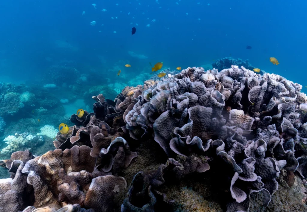 Australia West Coast Road Trip Guide: 11 top things to see